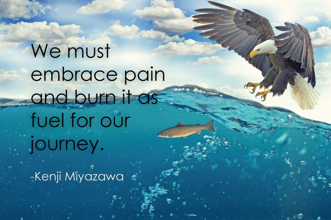 9 Amazing Lessons From The Eagle